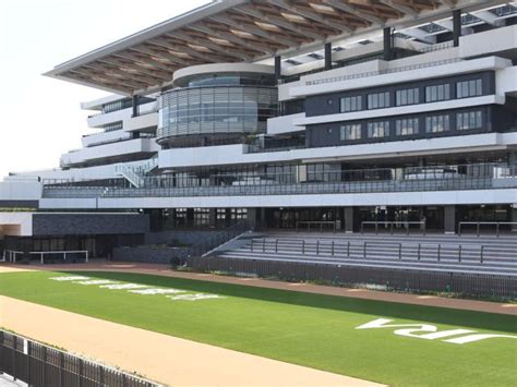 【マイルcs展望】秋のマイル王決定戦、外国馬チャリンに注目 競馬ニュース Netkeiba