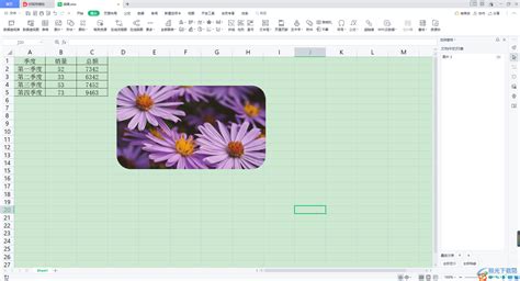 Wps Excel怎么插入圆角矩形图片？ Wps Excel插入圆角矩形图片的方法 极光下载站