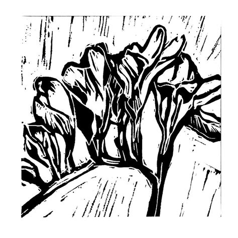 Freesia Carnegie Gallery