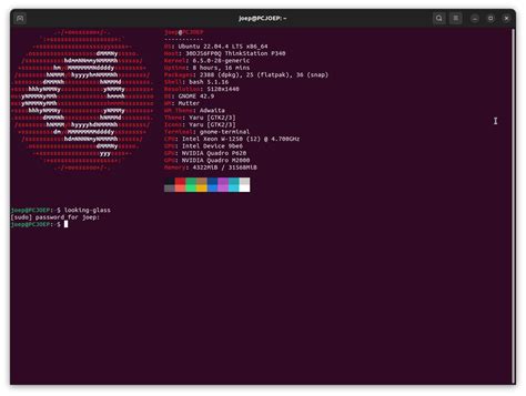 Looking Glass Rdp Gpu Passthrough