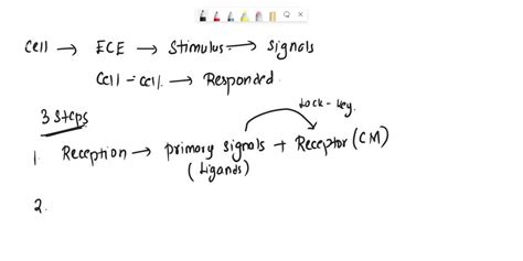 Solved Name The Steps That Are Often Involved In Cell Communication