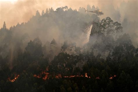 Incendios Arrasan Más De 700 Hectáreas De Bosque En Guatemala