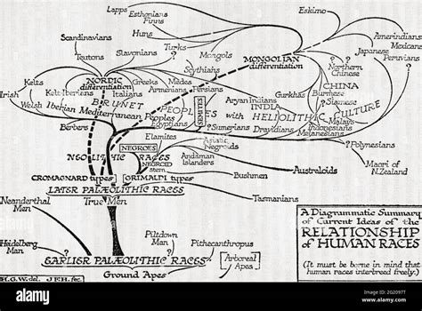 Human Races Of The World