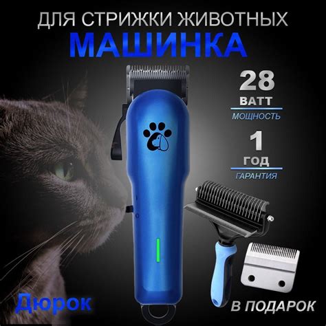 Машинка для стрижки собак и кошек - купить с доставкой по выгодным ...