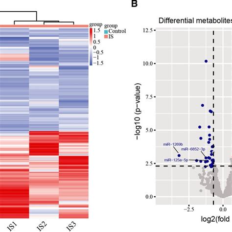 Rna Sequencing Results A Heat Map Of Differential Mirs Expression By