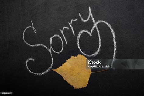 흰색 분필 글자와 칠판에 당나귀 잎 죄송합니다 마음에서 용서를 구하는 사과의 개념 10월에 대한 스톡 사진 및 기타 이미지