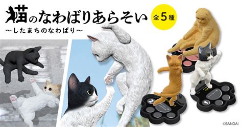 猫のなわばりあらそいガシャポンオフィシャルサイト