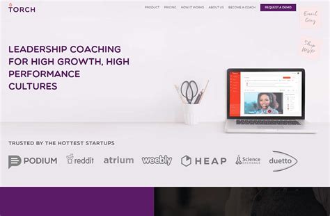 Torch Executive Coaching — Business Website Design Portfolio