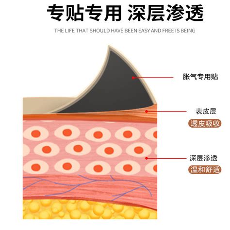 福恩堂胀气贴膏脾胃肠胃保健贴绞痛积食胃消化不良贴外用理疗草本 虎窝淘