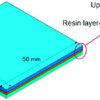 Diagram Of The Adhesive Structure Download Scientific Diagram