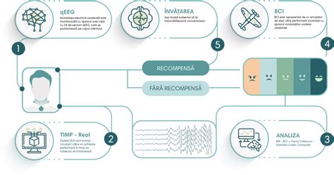 Servicii Veruvis Etapele Antrenamentului Neuronal Bm Bci