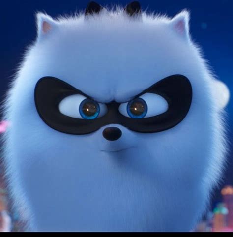 Angry Face A Hat In Time Gidget Secret Life Of Pets Snowball