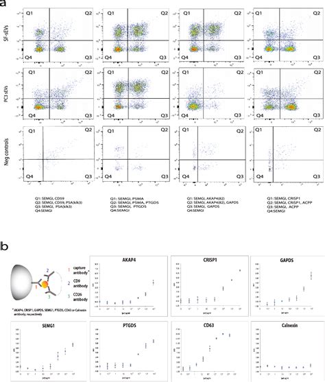 Figure 5 From Surface Protein Pro ﬁ Ling Of Prostate Derived Extracellular Vesicles By Mass