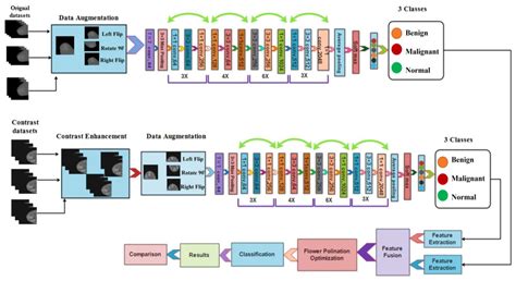 Brmi Net Deep Learning Features And Flower Pollination Controlled