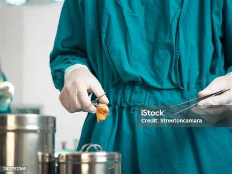 병원 클리닉 실험실 또는 실험실 Icu 의사 과학자 간호사 구급대원 직업 직업 경력 손 장갑 균일 한 의학 Tweezer 테이프 면울 주석 알코올 치료 의료 환자 간호사에