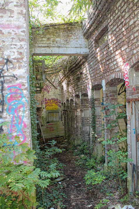 Forgotten Beauties On Tumblr