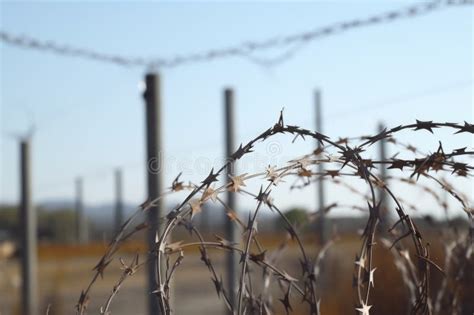 Barbed Wire On Top Of A National Boundary Fence Stock Illustration Illustration Of