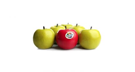 Sinclair S Label Journey Article Fruitnet