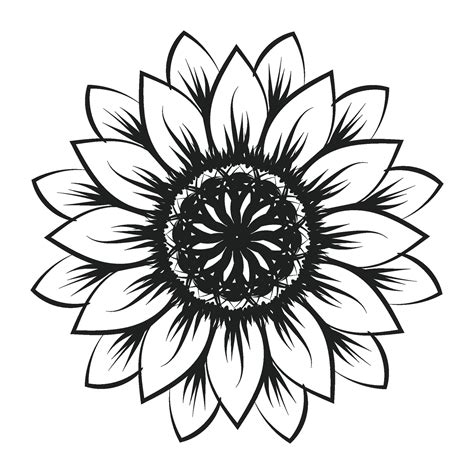 Sunflower Outline Sunflower Line Art Floral Line Drawing Black And