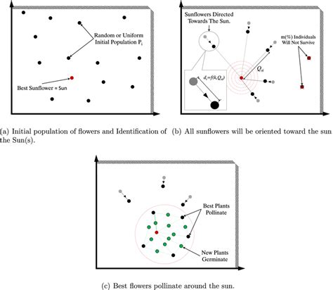 Some Concepts About The Sunflower Optimization Methodology 21