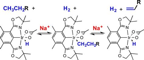 β Hydride Elimination And C H Activation By An Iridium Acetate Complex