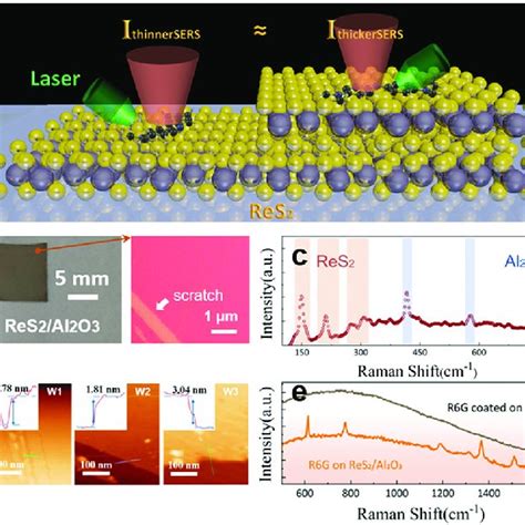 Pdf Origin Of Layer Dependent Sers Tunability In 2d Transition Metal