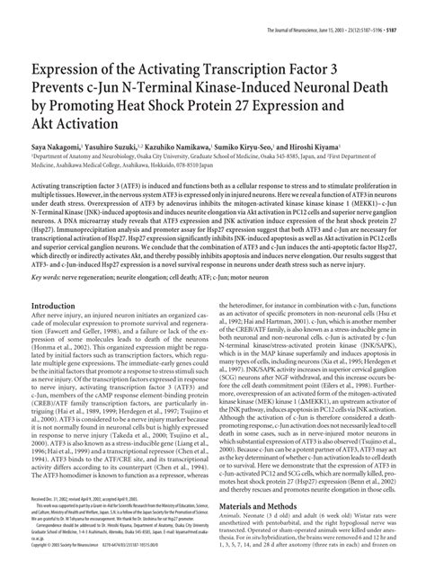 Pdf Expression Of The Activating Transcription Factor 3 Prevents C