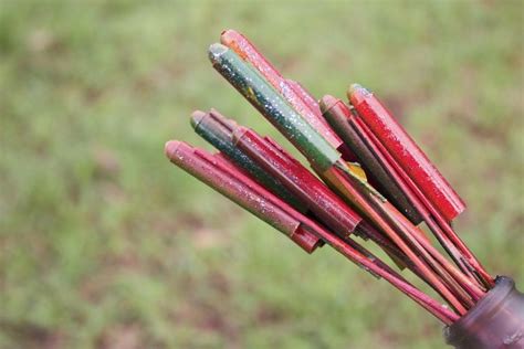 Bottle Rocket Firework Launching