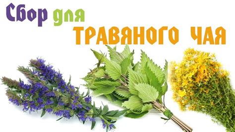 Сбор для Травяного Чая Чай Трава Травяные чаи