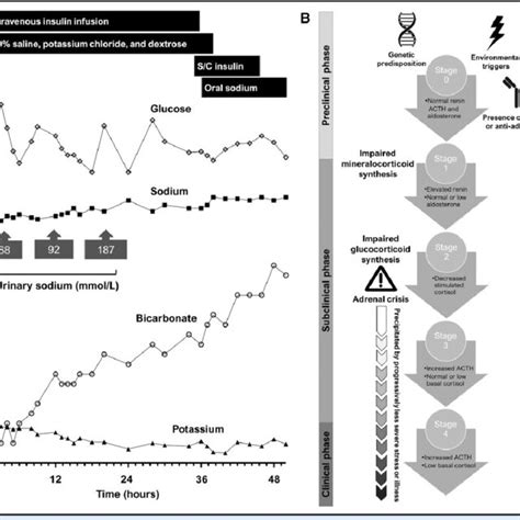 A Clinical Course During The Acute Management Of DKA With Download Scientific Diagram