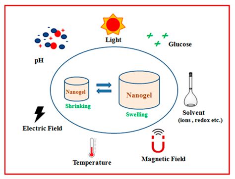 Single Dual And Multi Stimuli Responsive Nanogels For Biomedical