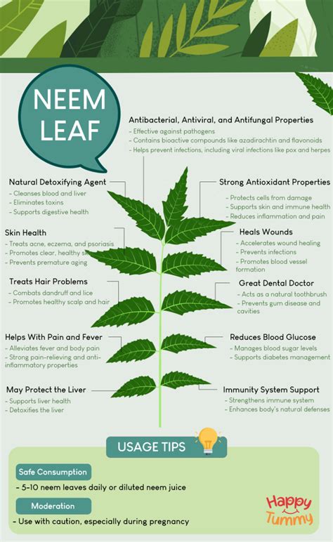 11 Benefits And Uses Of Neem Leaves Happytummy