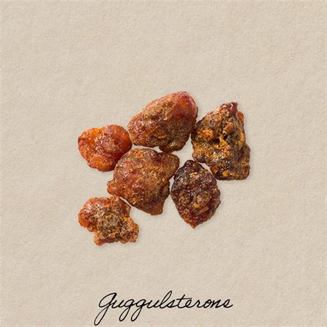 Thyroid Optimizer Supports Healthy Thyroid Function Infiniwell