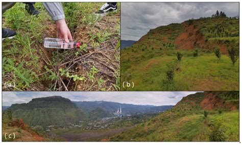 Deep Learning Method Of Landslide Inventory Map With Imbalanced Samples In Optical Remote Sensing