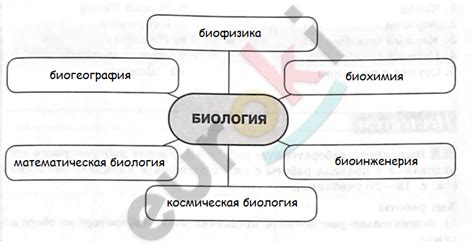 ГДЗ Стр 9 Биология 5 класс Пасечник ФГОС С ракушкой Рабочая тетрадь