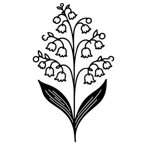 Hand Drawn Lily Of The Valley Flowers Small Lily Of The Valley Tattoo