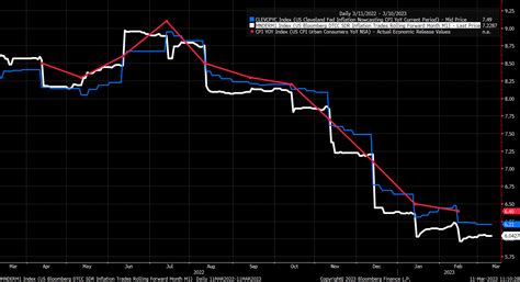 Cpi Report February 2025 Nour Noor