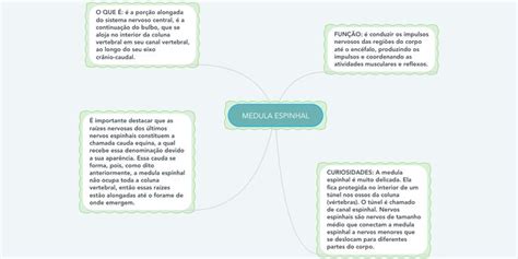 Mapa mental público por LUIZA FURQUIM Crie os seus próprios mapas