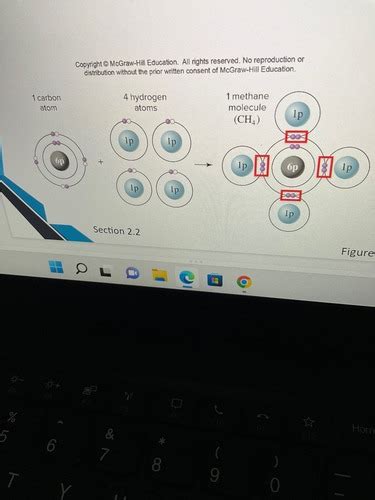 Bio 101 Chapter 2 Picture Flashcards Quizlet