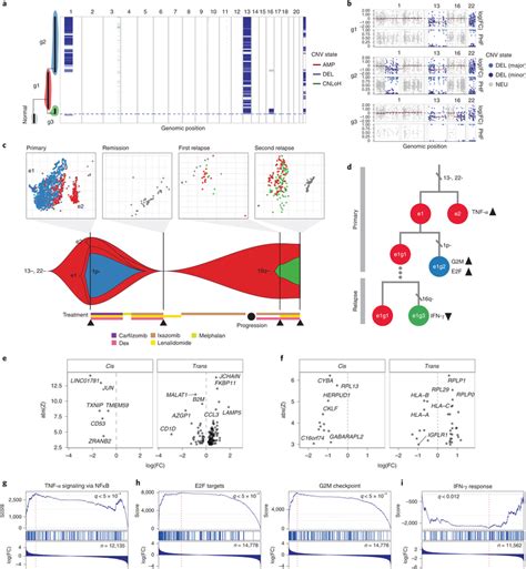 Tracking Clonal Evolution Of A Therapy Resistant MM Using Numbat A