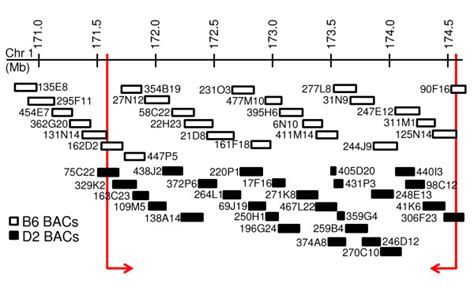 Bac Sequencing Coverage B6 Strain Rpci 23 Bacs Used For Genomic