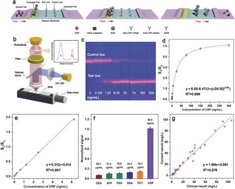 Turbidimetric Crp At Lester Shippy Blog