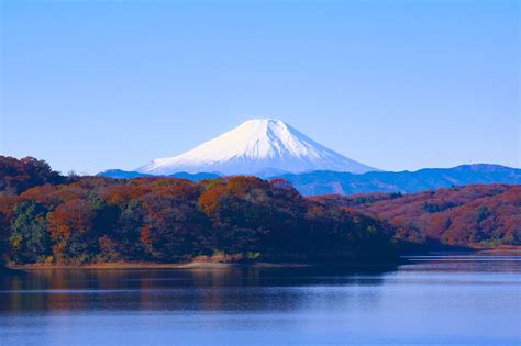 50 Essential Japanese Words And Phrases LangFocus