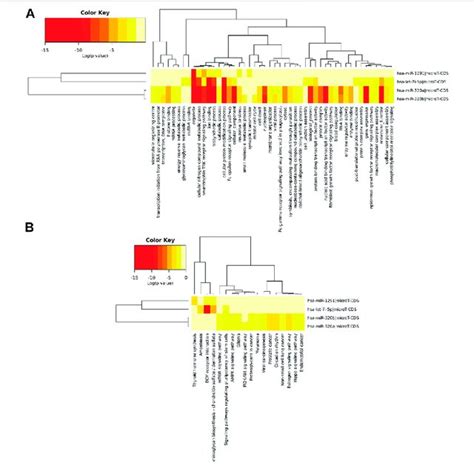 Hierarchical Clustering Based On Predicted Target Genes Of