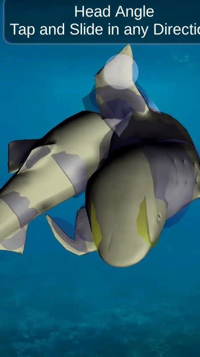 Weird Part 2 Youtube