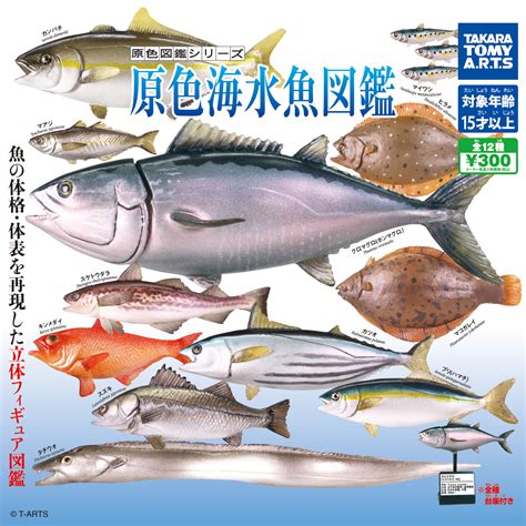 原色海水魚図鑑｜商品情報｜タカラトミーアーツ