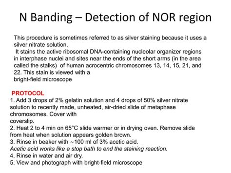 Chromosomal Banding Technique Ppt