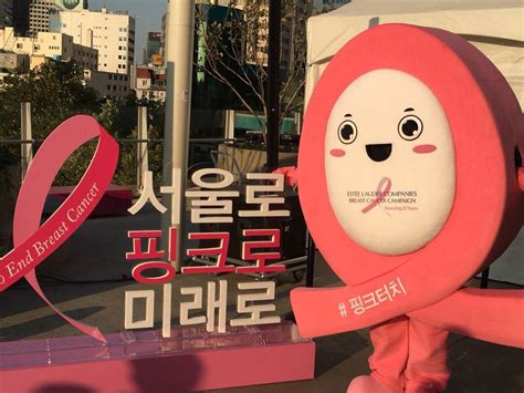 핑크핑 에스티 로더 컴퍼니즈 코리아 L Estee Lauder Companies Korea Market