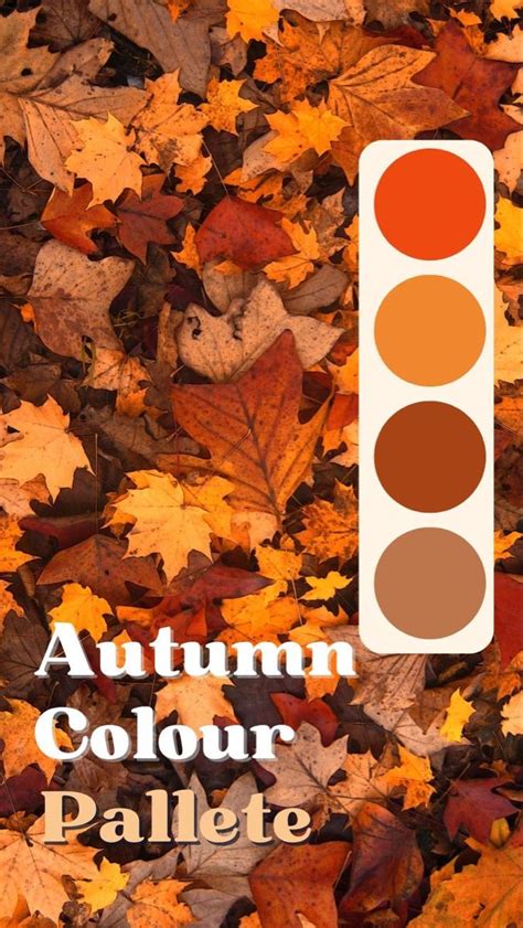 Autumn Color Palette Fall Color Schemes