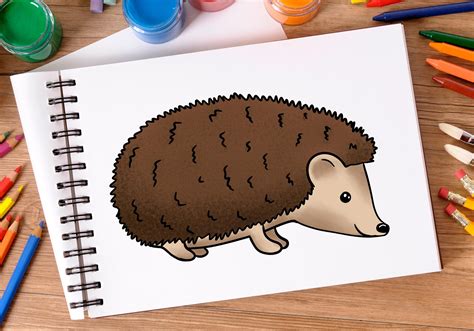 Hedgehog Drawing